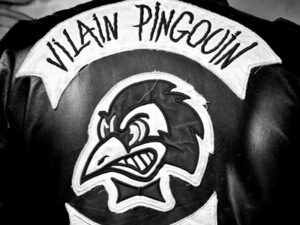 Vilain Pingouin - Humour et Chanson